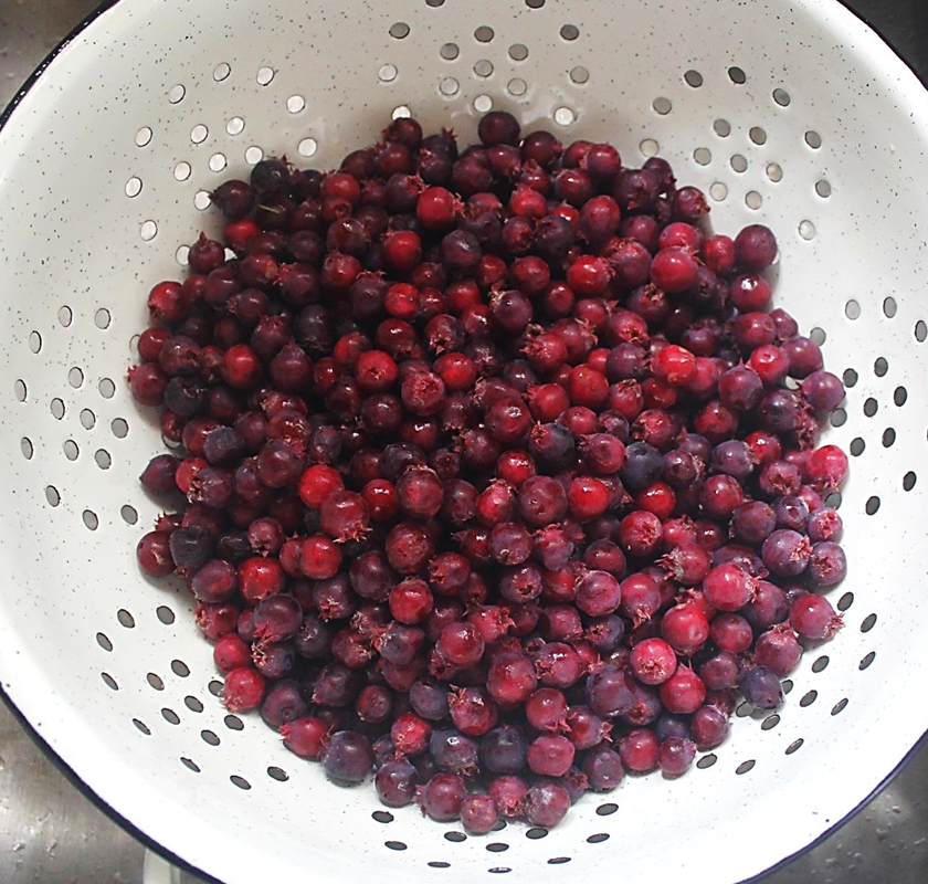 Serviceberry Jelly | Brit In The South